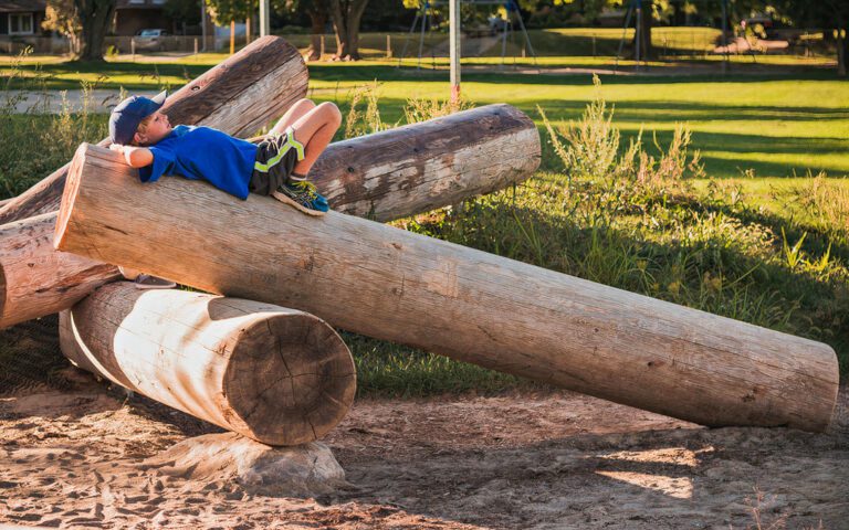 playground equipment – earthscape - Dave Bang Associates